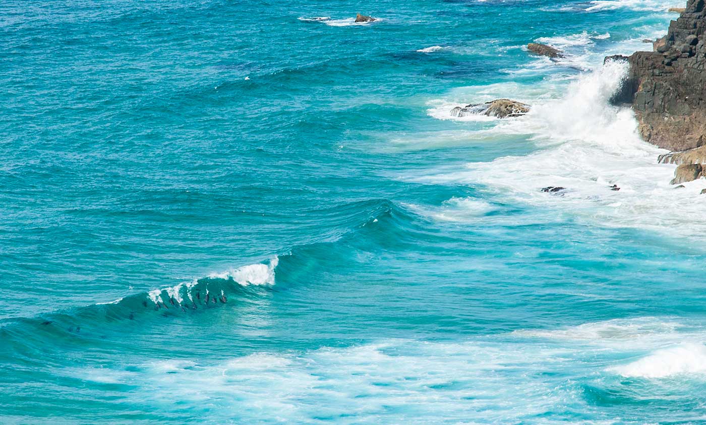 Debbie & Geoff's Australian Safari September & October 2018 Blog