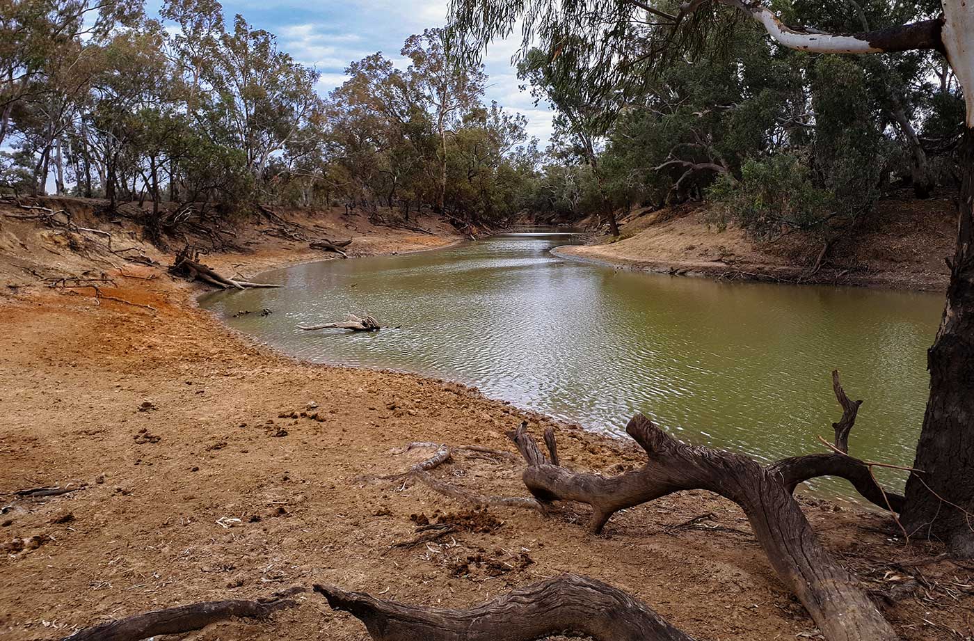 Debbie & Geoff's Australian Safari August 2018 Blog