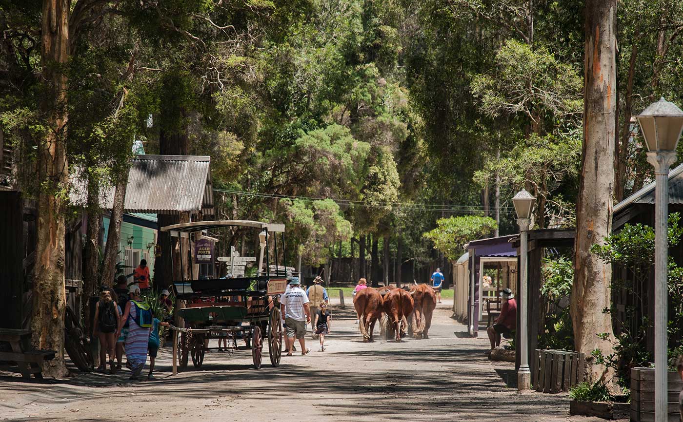 Debbie & Geoff's Australian Safari December 2018 Blog