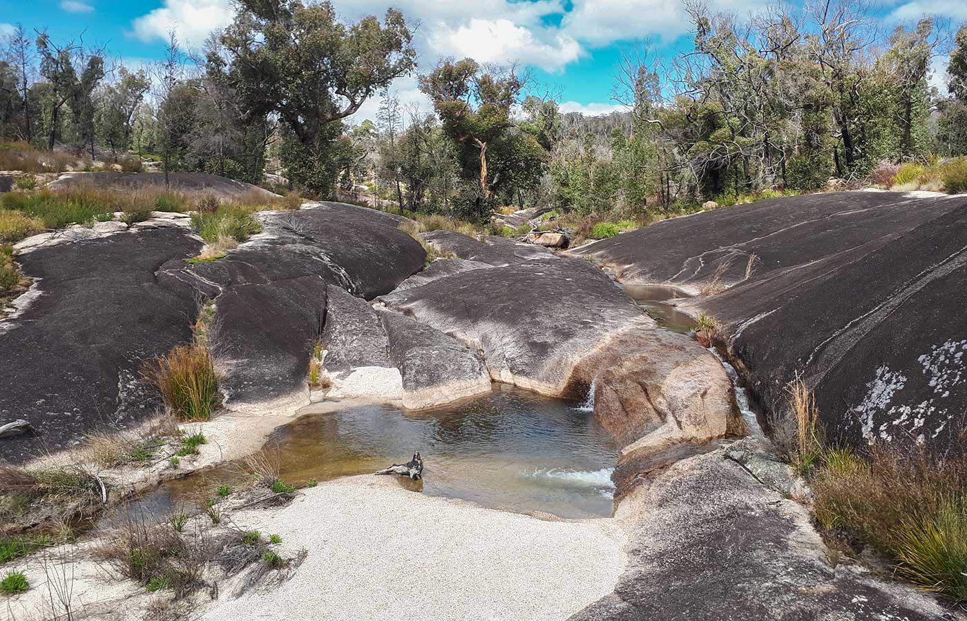 Debbie & Geoff's Australian Safari - Tenterfield - August 2021 Blog